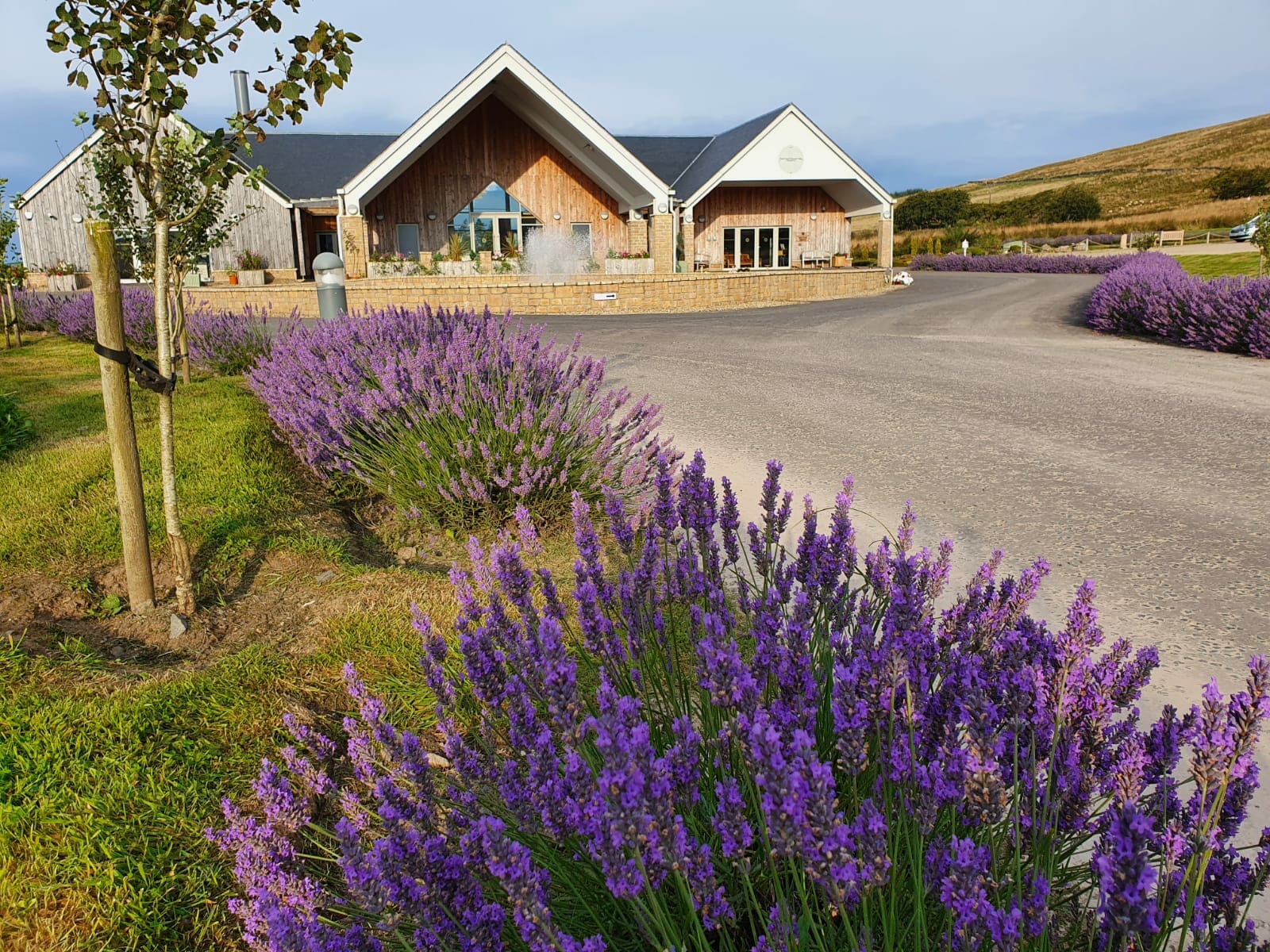 Gallery - Clyde Coast and Garnock Valley Crematorium